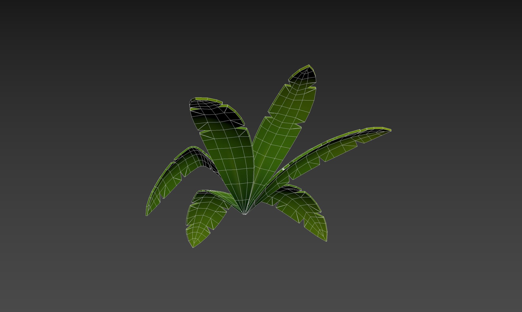 Low Poly Fern 001 3D Model - TurboSquid 1851070