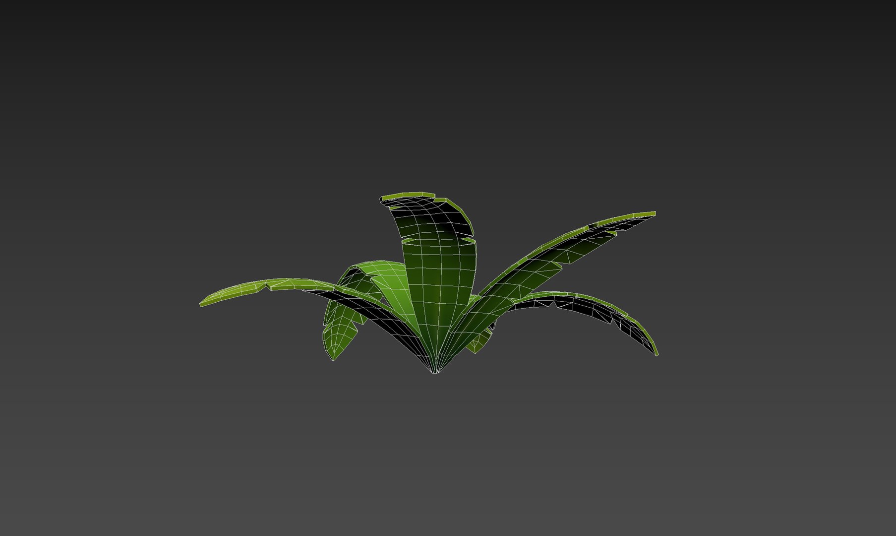 Low Poly Fern 001 3D Model - TurboSquid 1851070