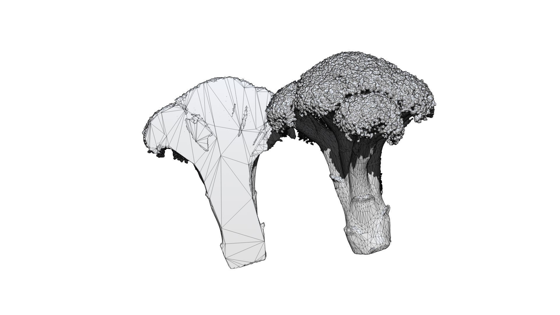 Broccoli Cut 3D CT Scan Model 3 Decimate 10percent 3D Model ...
