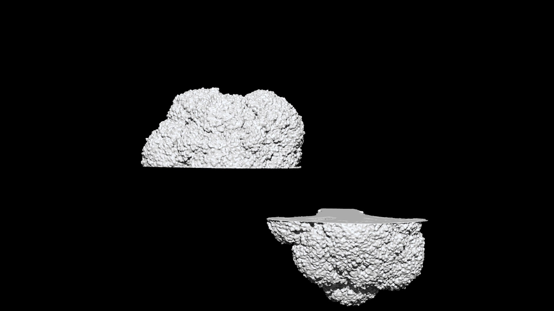 Broccoli Cut 3D CT Scan Model 3 Decimate 10percent 3D Model ...