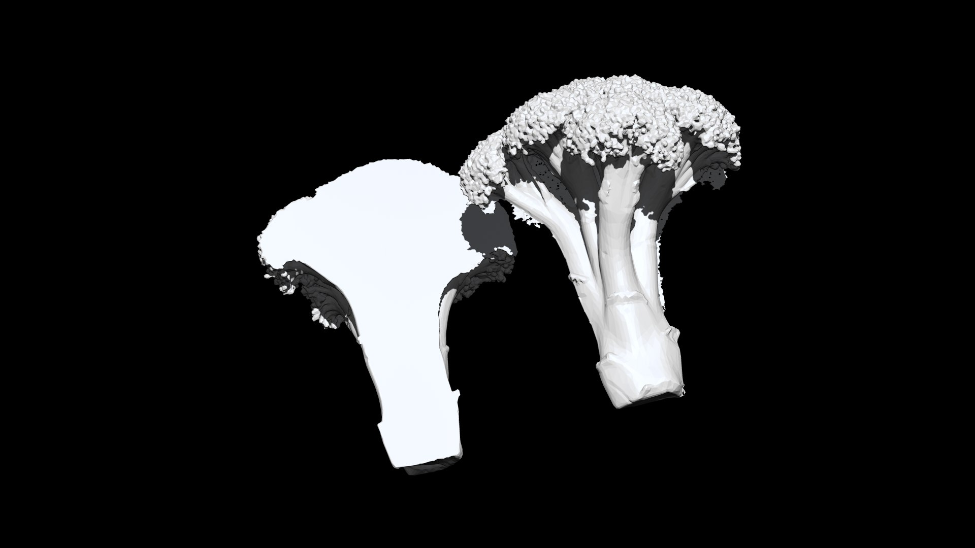 Broccoli Cut 3D CT Scan Model 3 Decimate 10percent 3D Model ...