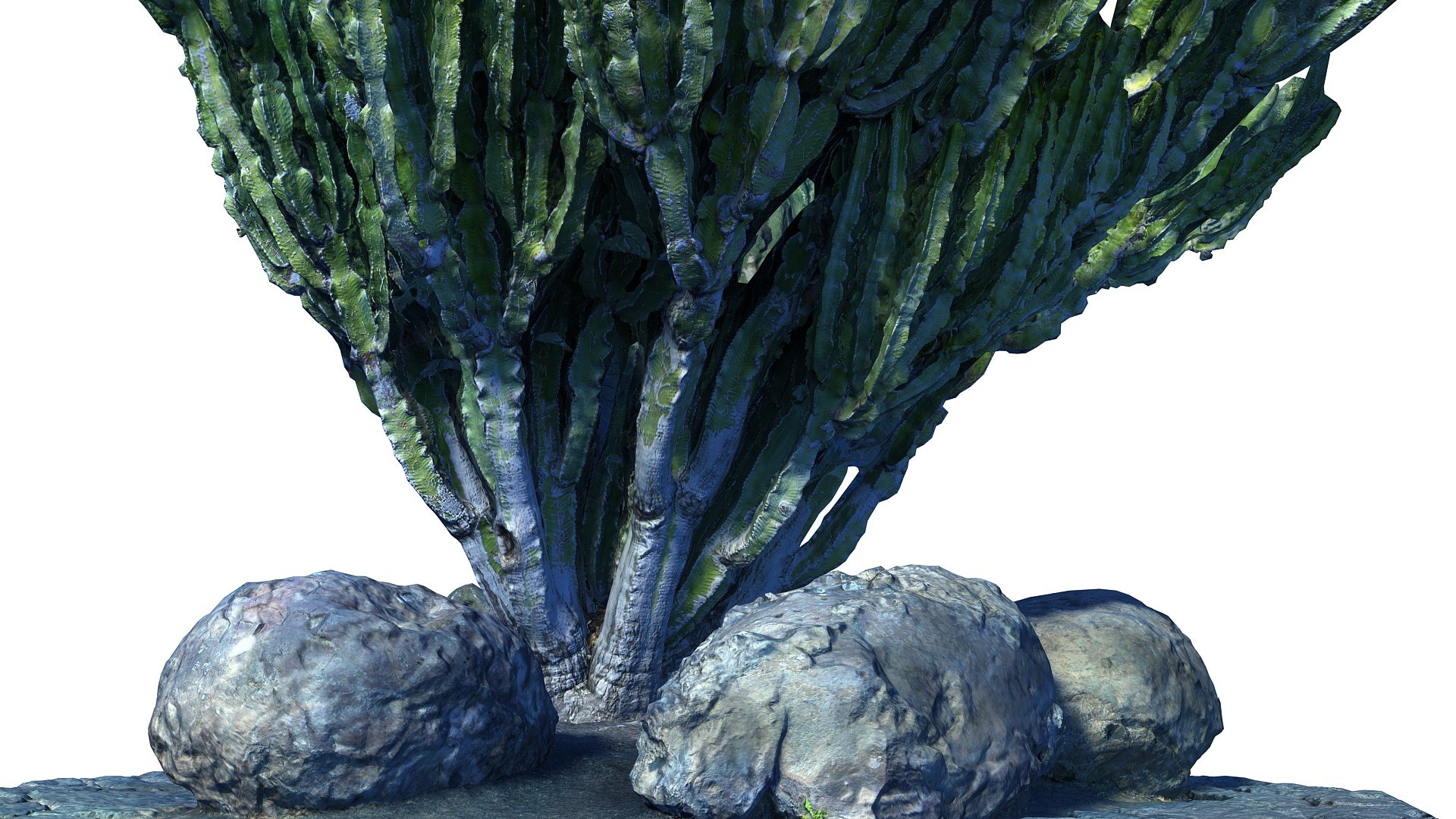 3ds Max Real Cactus Tree