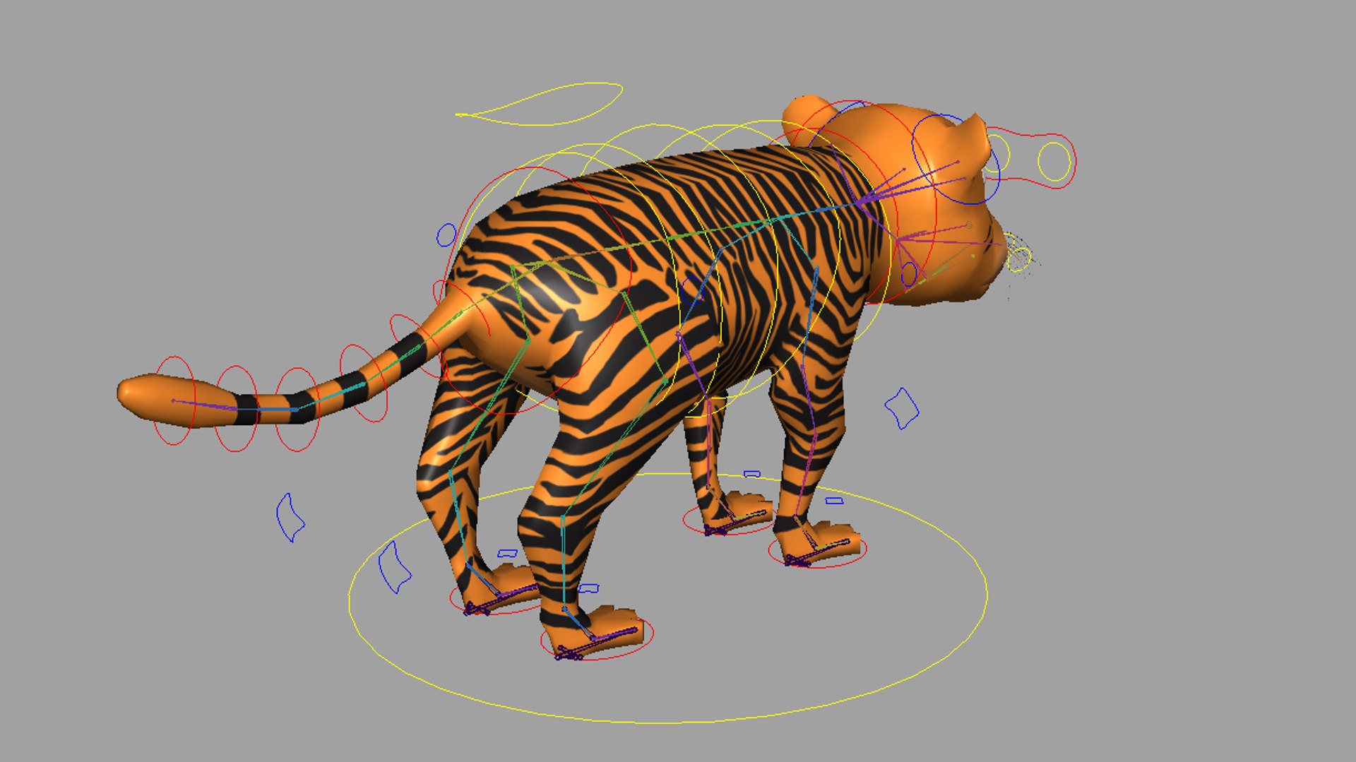 3d model of tiger rigged