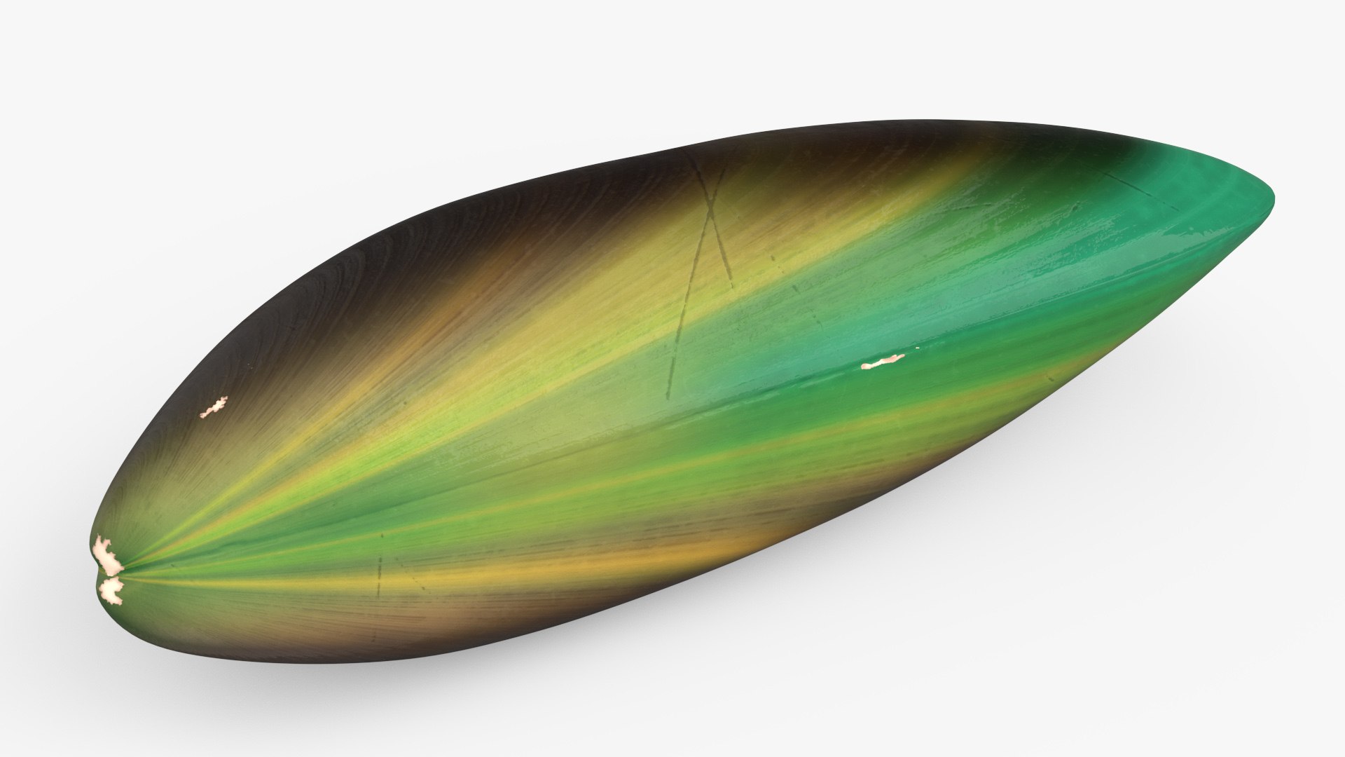 Green Lipped Clam Shell 3D Model - TurboSquid 2228011