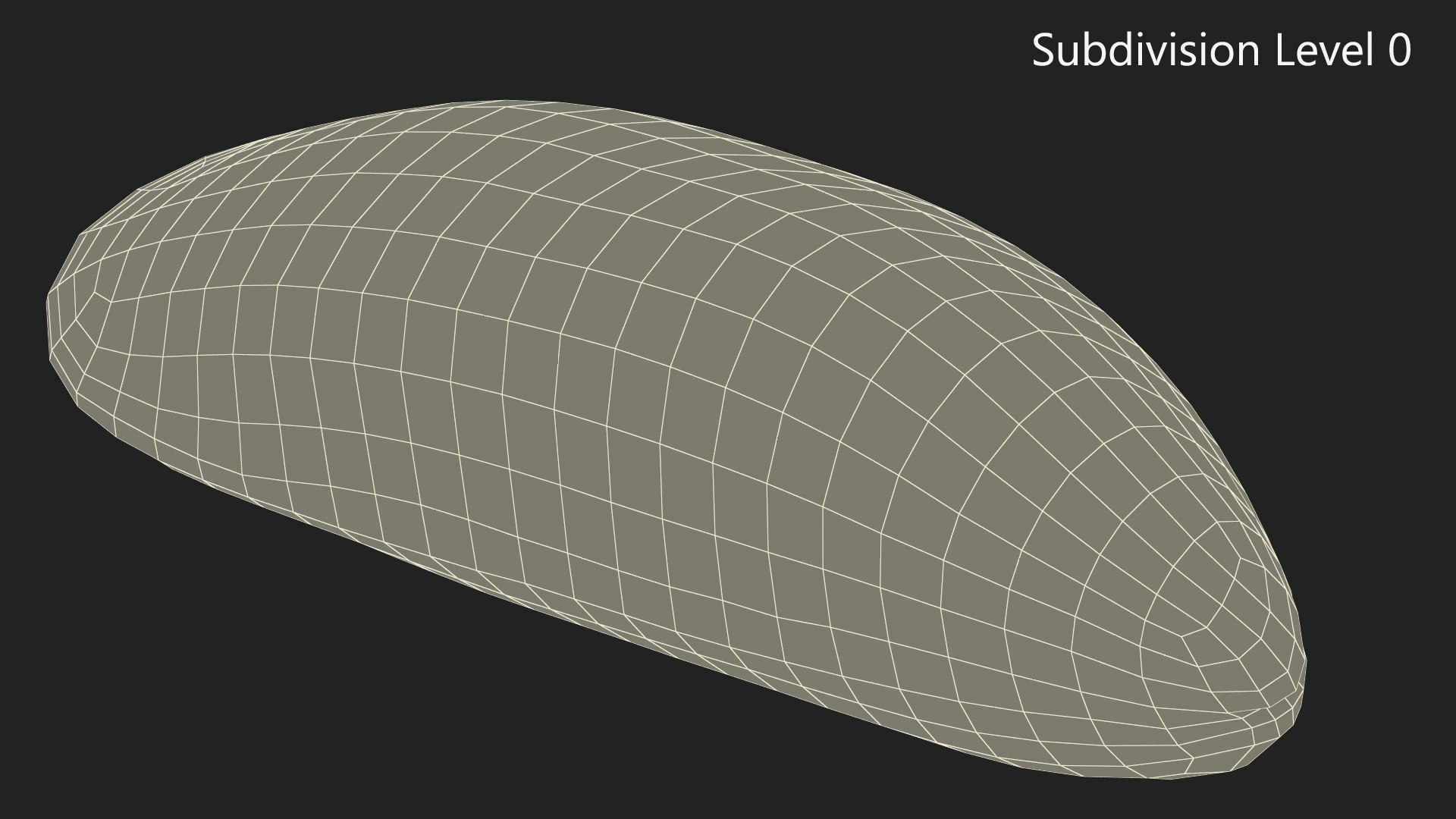 Green Lipped Clam Shell 3D Model - TurboSquid 2228011