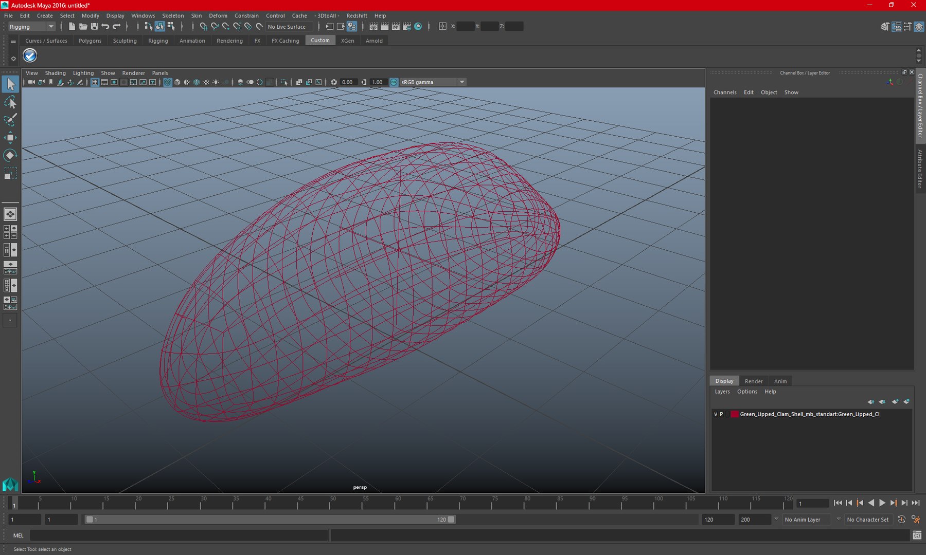 Green Lipped Clam Shell 3D Model - TurboSquid 2228011