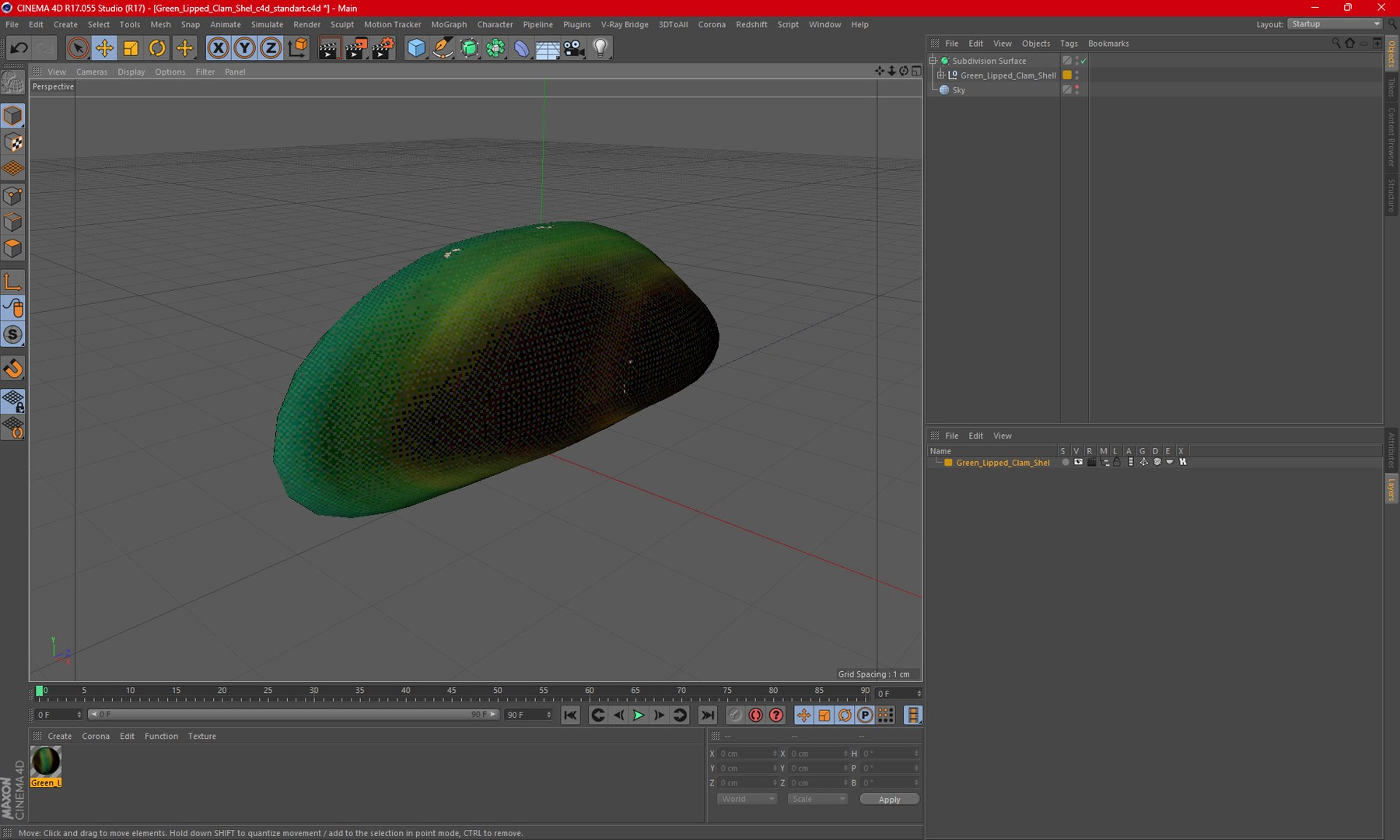 Green Lipped Clam Shell 3D Model - TurboSquid 2228011
