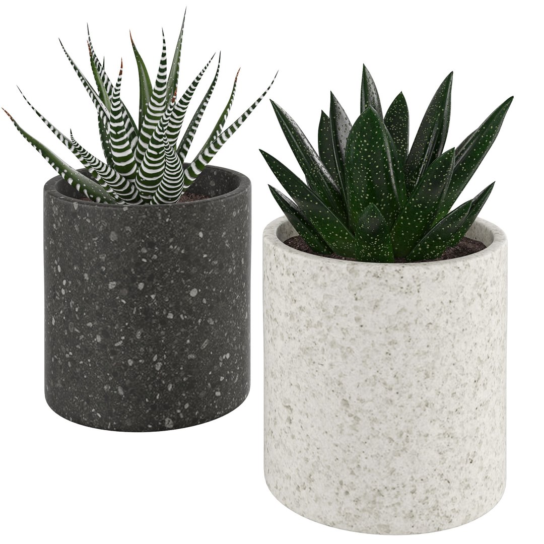 Houseplant 65 3D model - TurboSquid 1756795