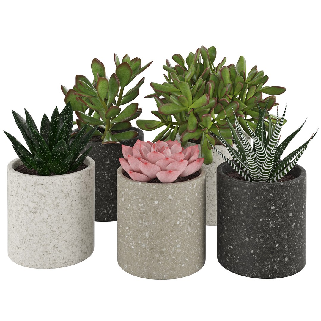 Houseplant 65 3D model - TurboSquid 1756795