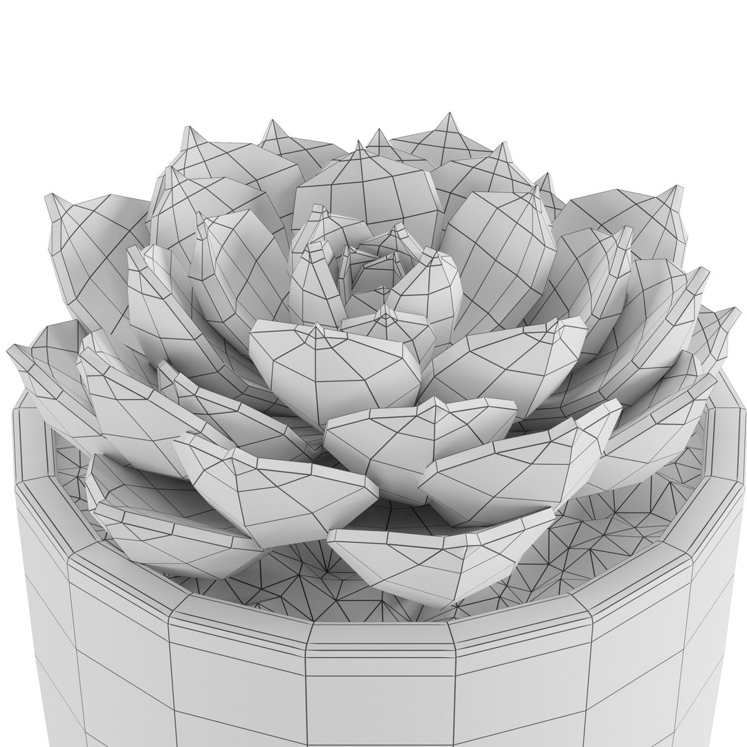 Houseplant 65 3D model - TurboSquid 1756795