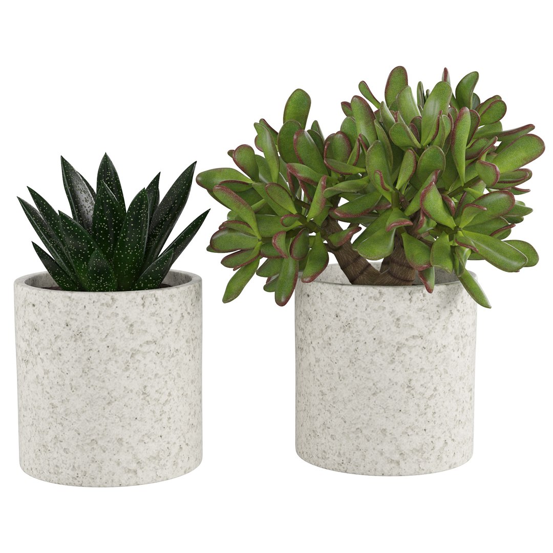 Houseplant 65 3D model - TurboSquid 1756795