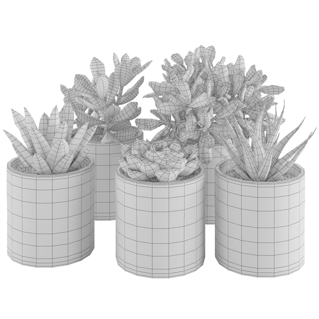 Houseplant 65 3D model - TurboSquid 1756795