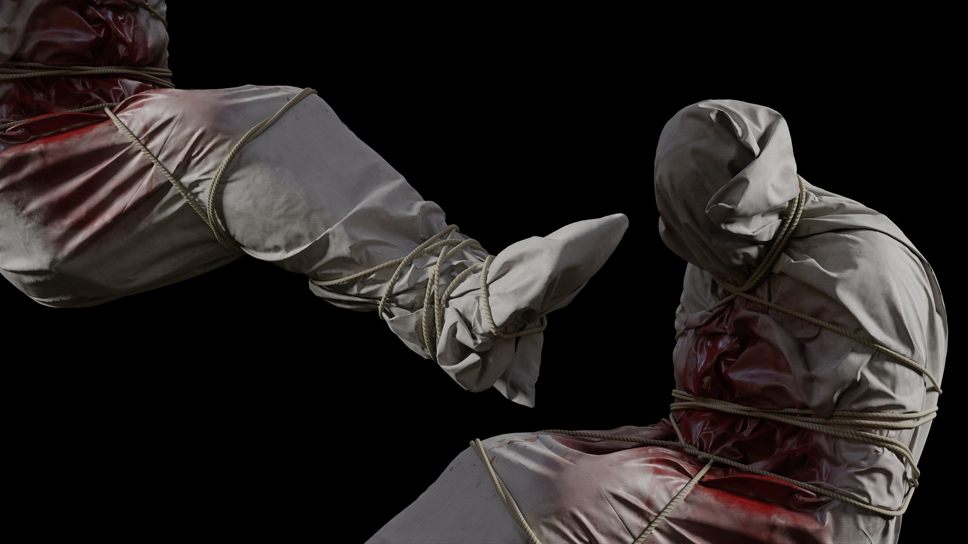 3D Covered Corpse 12 Low-Poly - TurboSquid 2382119