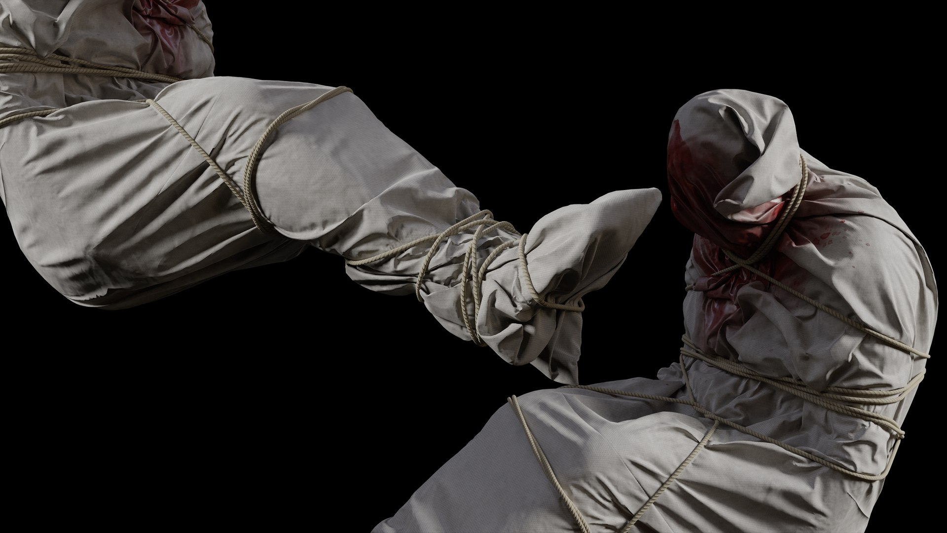 3D Covered Corpse 12 Low-Poly - TurboSquid 2382119