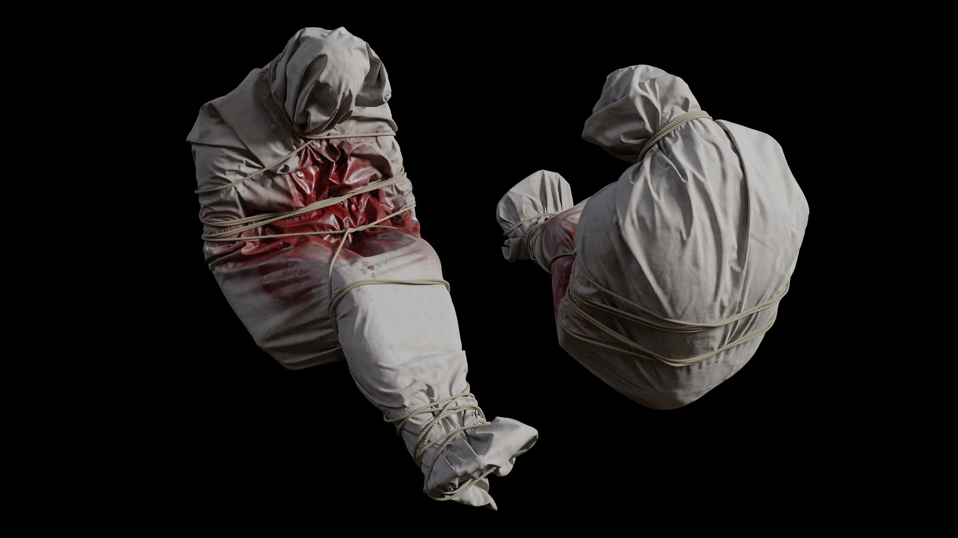 3D Covered Corpse 12 Low-Poly - TurboSquid 2382119