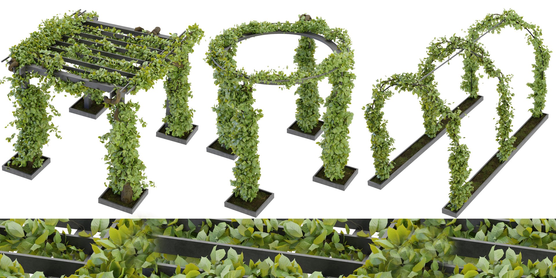 Collection Plant Vol 269 - Blender Model 3D - TurboSquid 2088975