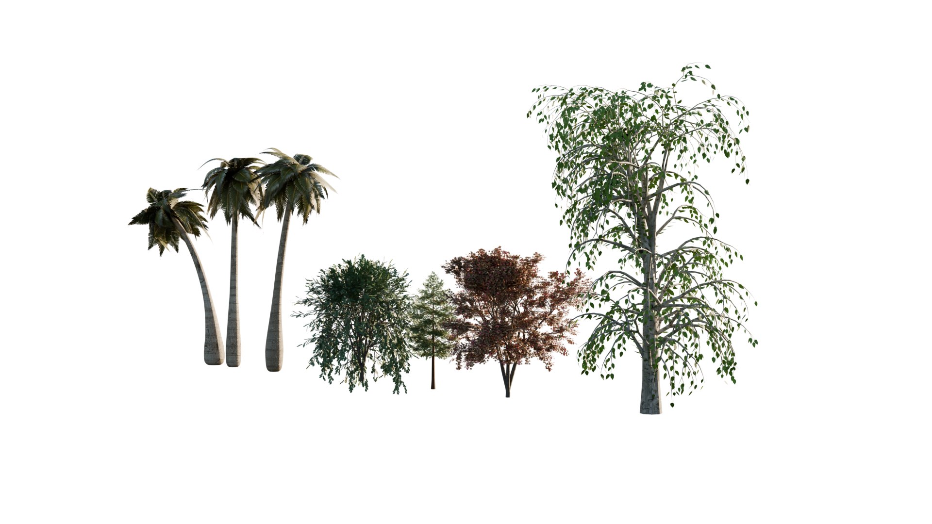 High-Quality 3D Trees Pack 7 Models 3D Model - TurboSquid 2352201