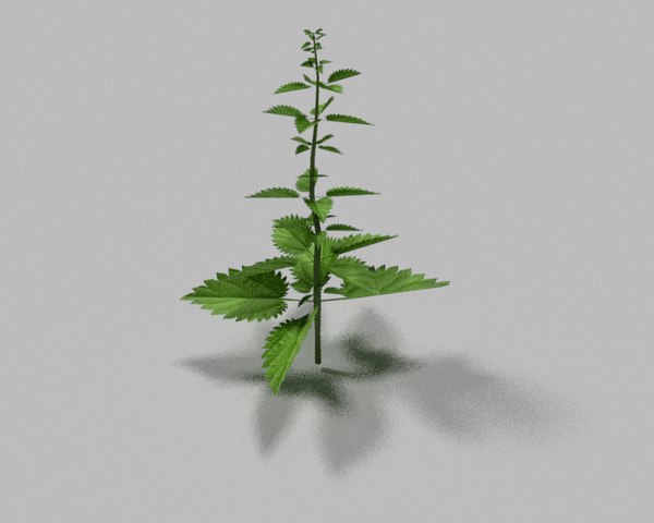 3d model stinging nettle