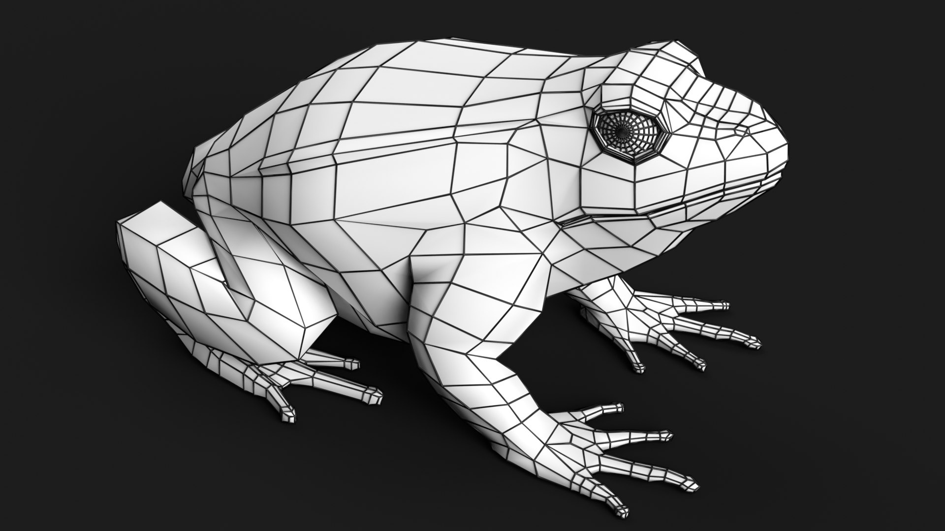 Toad Animal Amphibian 3D Model - TurboSquid 1690398