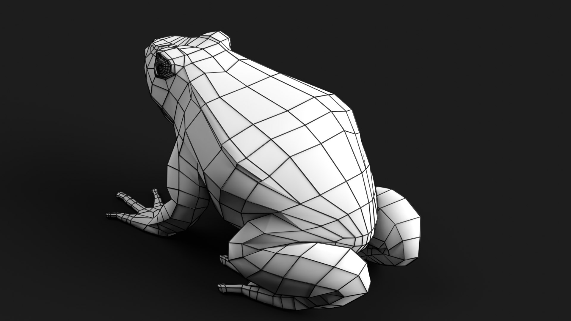 Toad Animal Amphibian 3D Model - TurboSquid 1690398