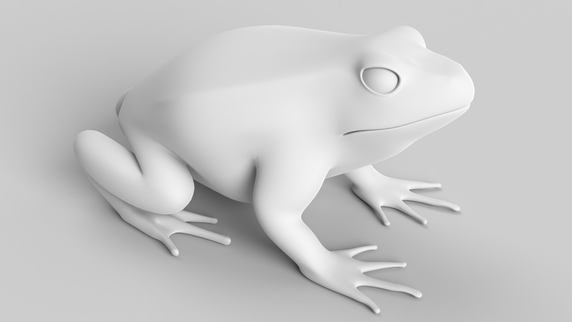 Toad Animal Amphibian 3D Model - TurboSquid 1690398
