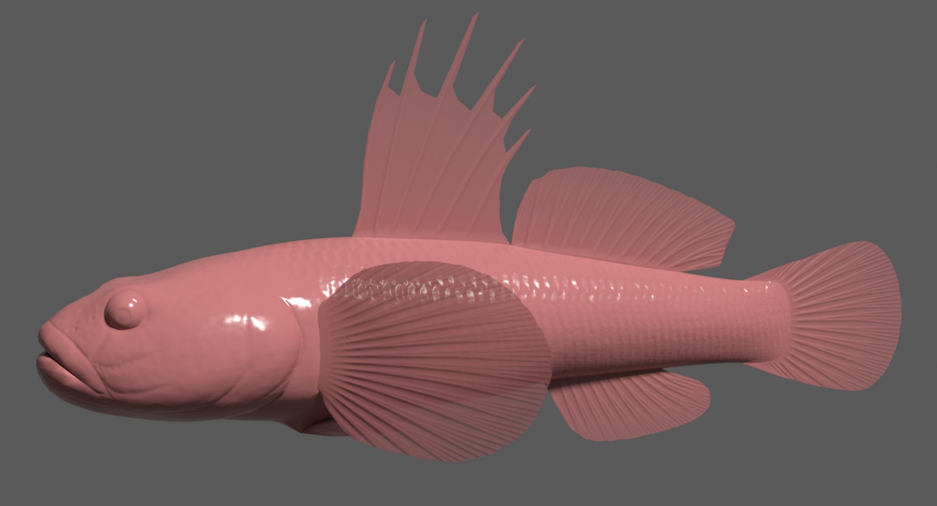 3d Swimming Model