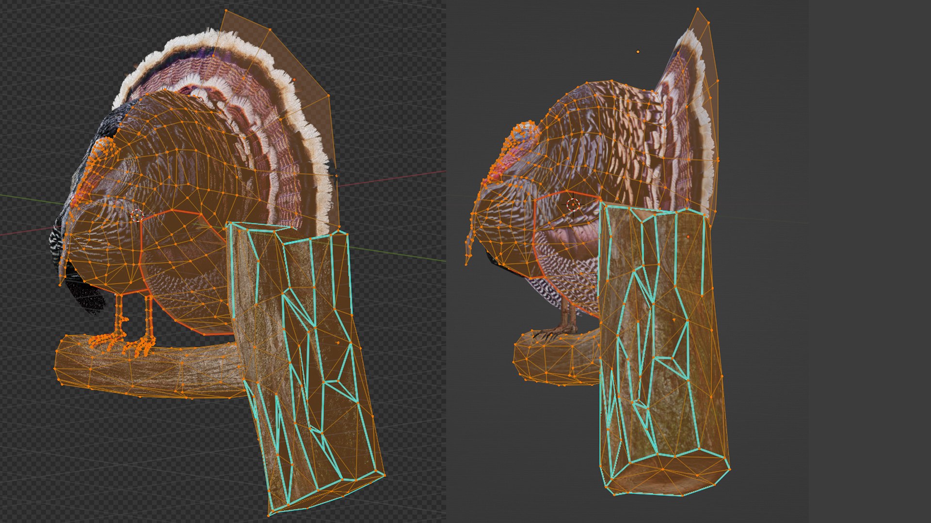 Miriams Turkey 3D Model - TurboSquid 1869070