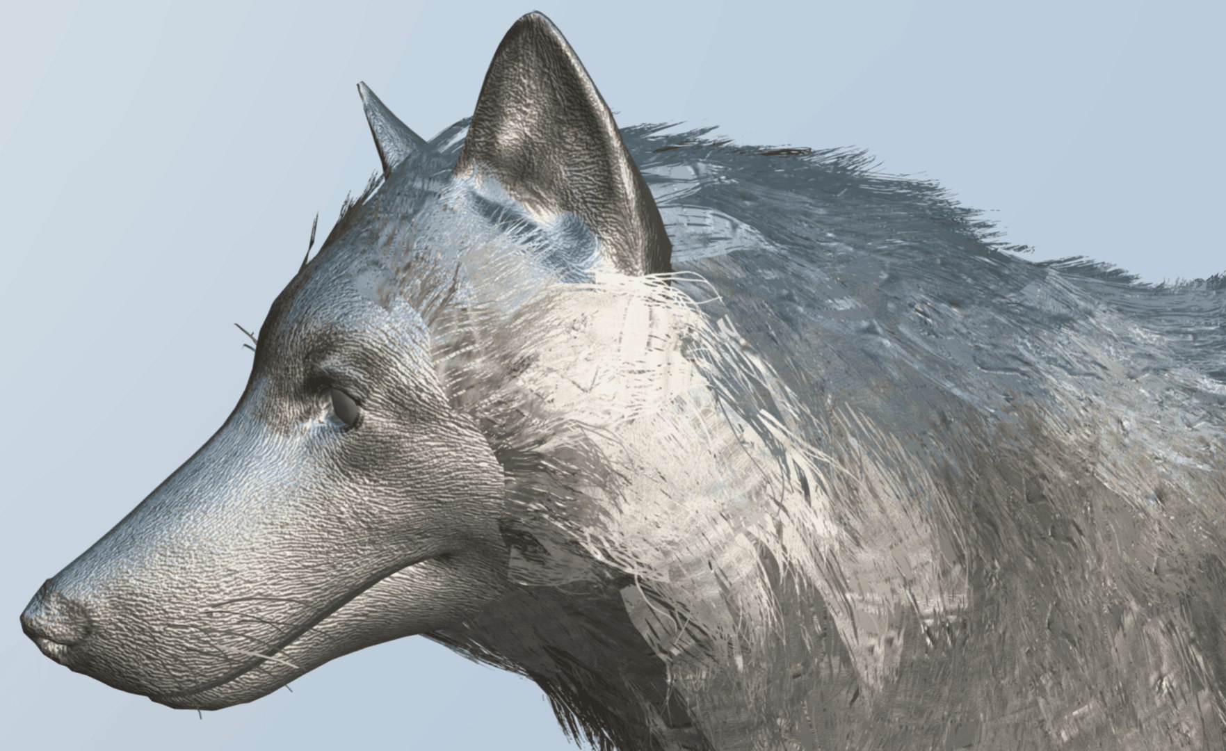 3D Wolf Rigged Animated Realistic Model - TurboSquid 2323316