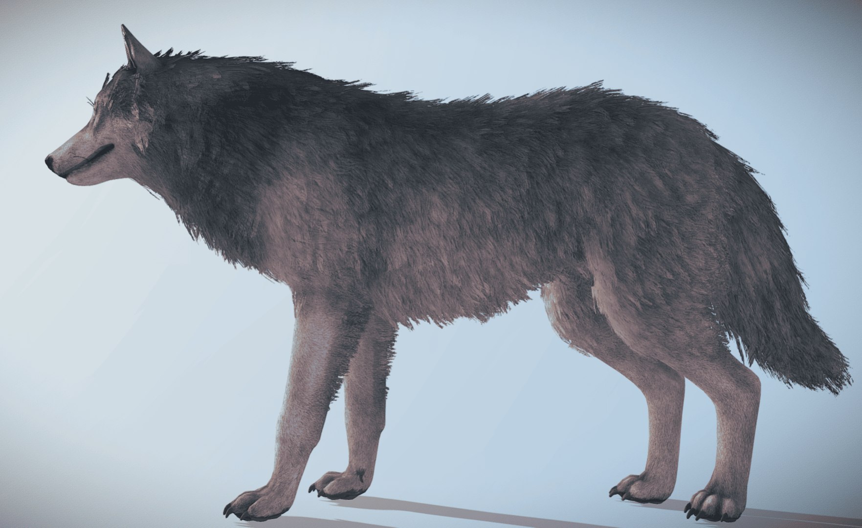 3D Wolf Rigged Animated Realistic Model - TurboSquid 2323316