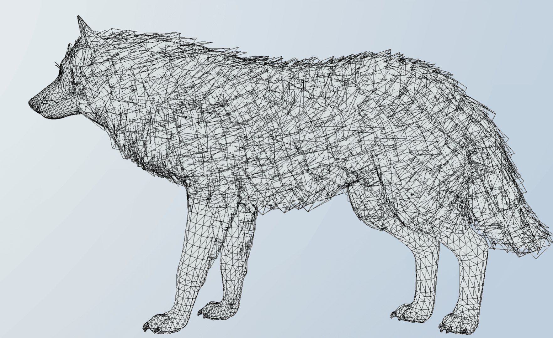3D Wolf Rigged Animated Realistic Model - TurboSquid 2323316