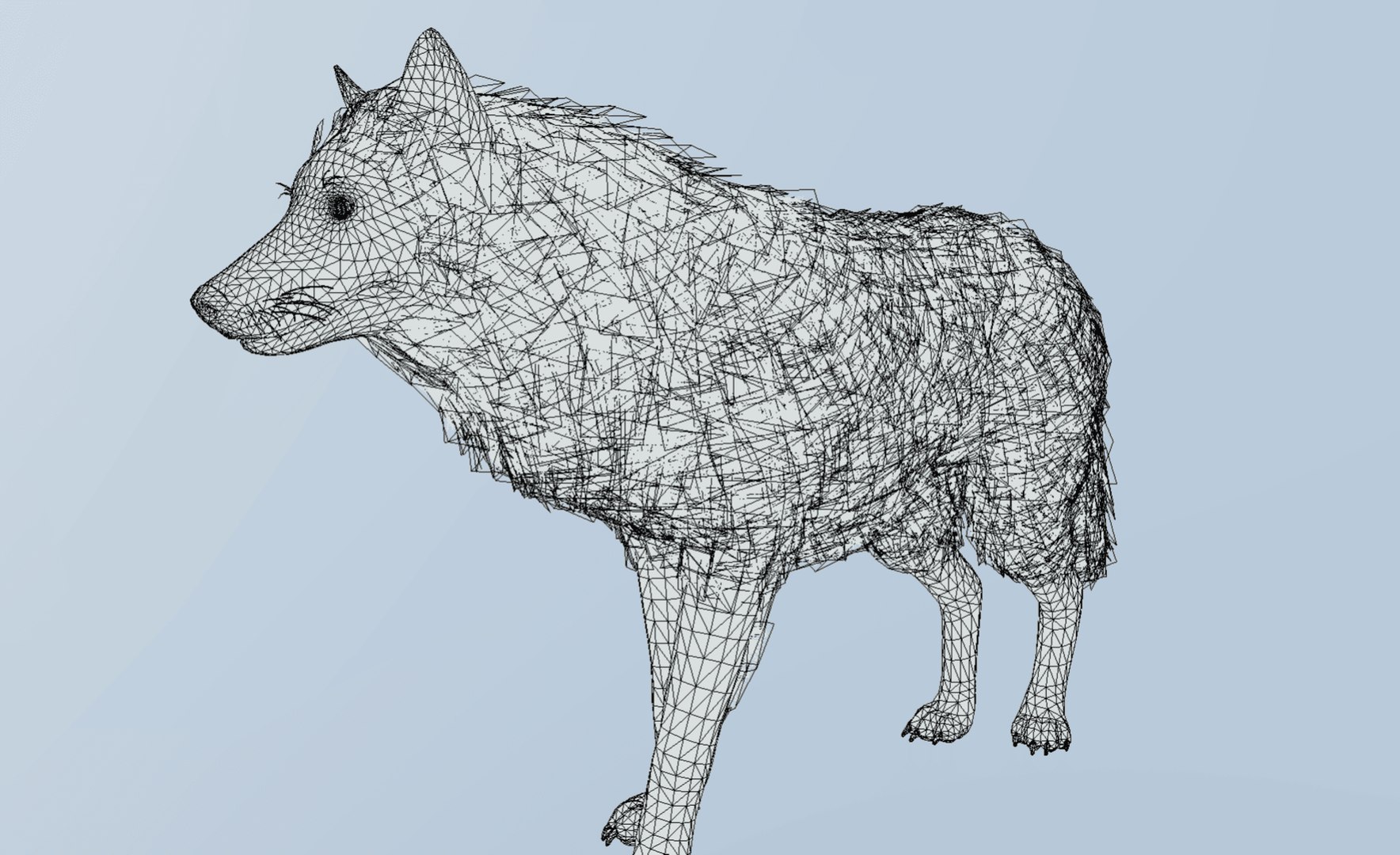 3D Wolf Rigged Animated Realistic Model - TurboSquid 2323316