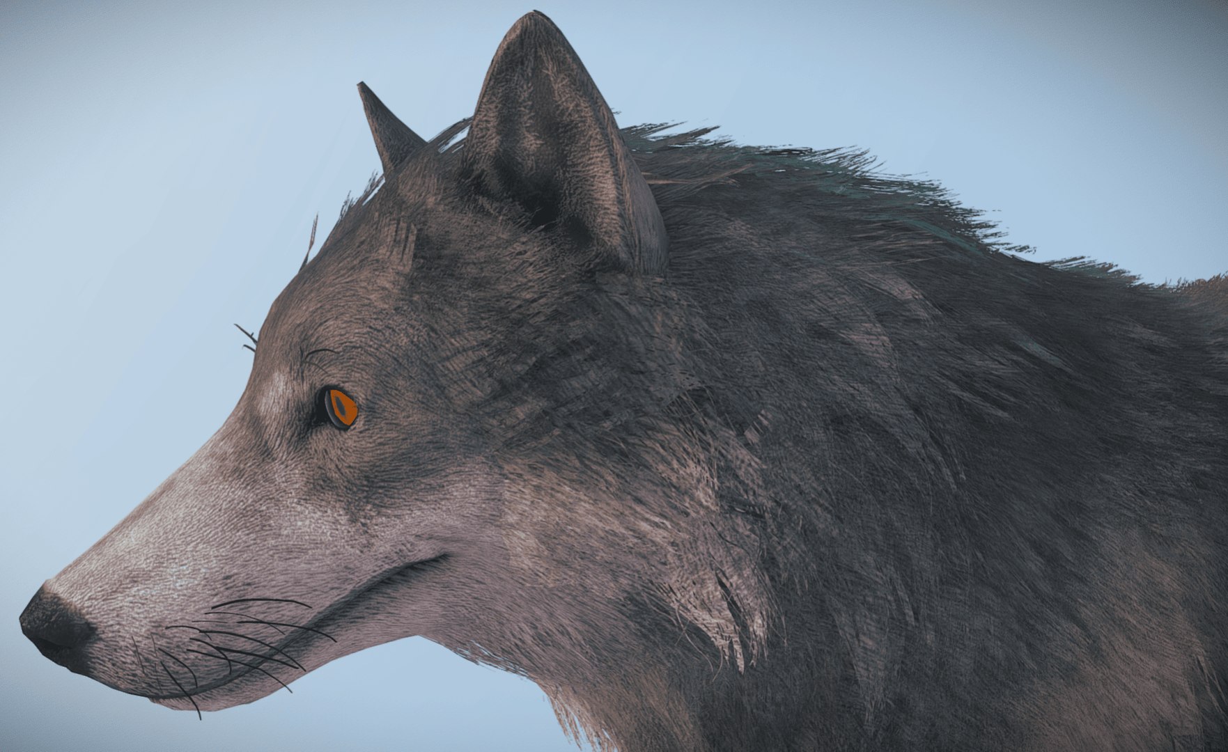 3D Wolf Rigged Animated Realistic Model - TurboSquid 2323316