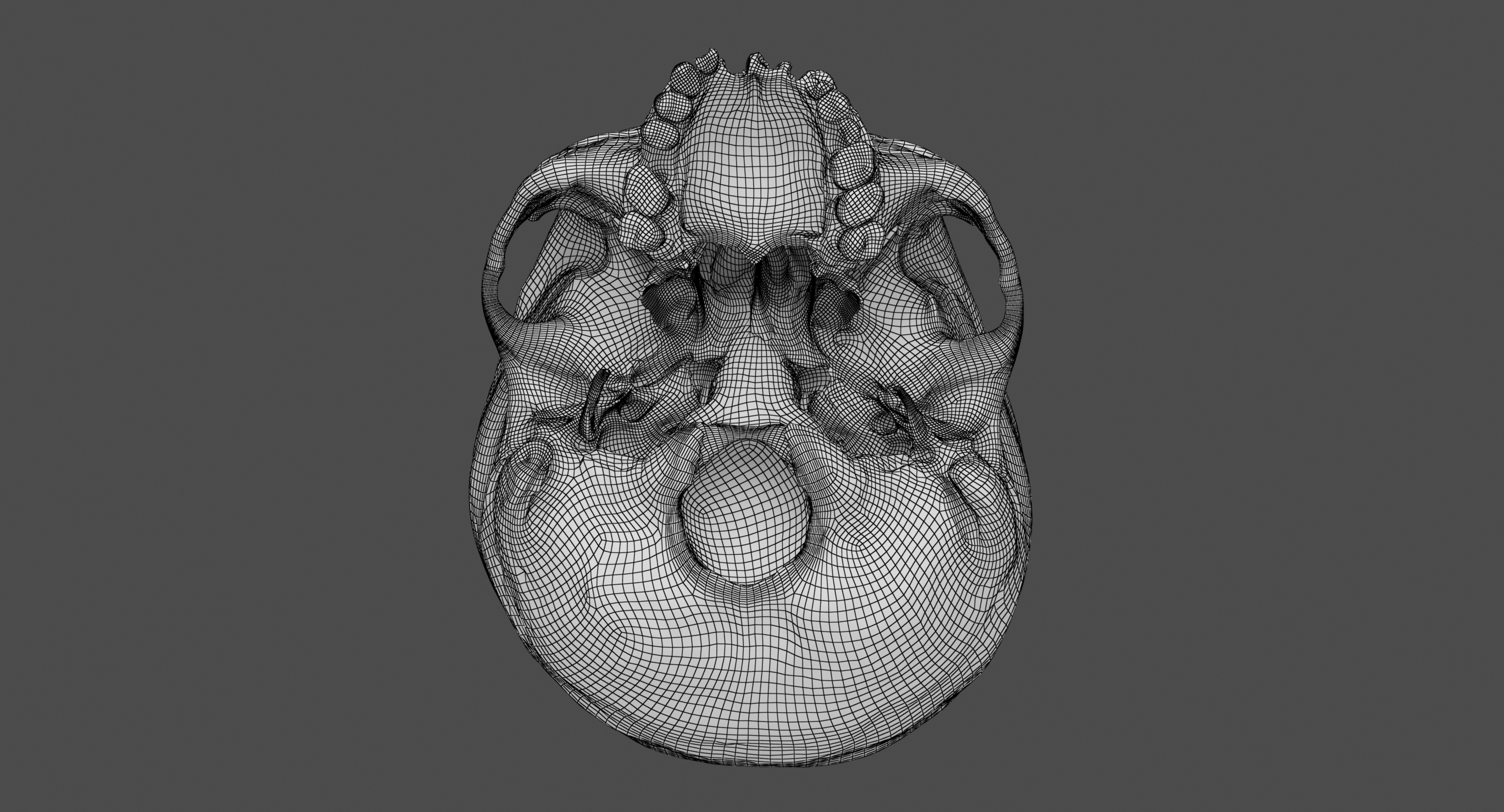 real human skull scan 3d model
