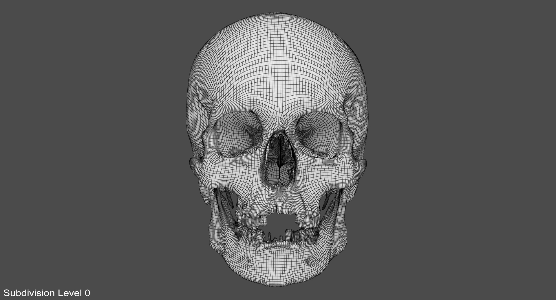 real human skull scan 3d model