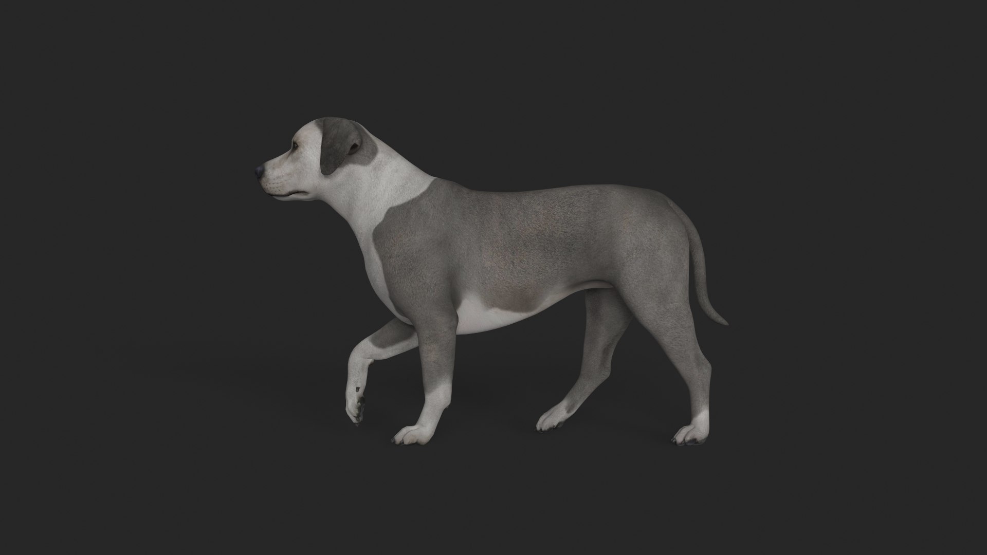 3D LAB-013 Dog Walking - TurboSquid 1914167