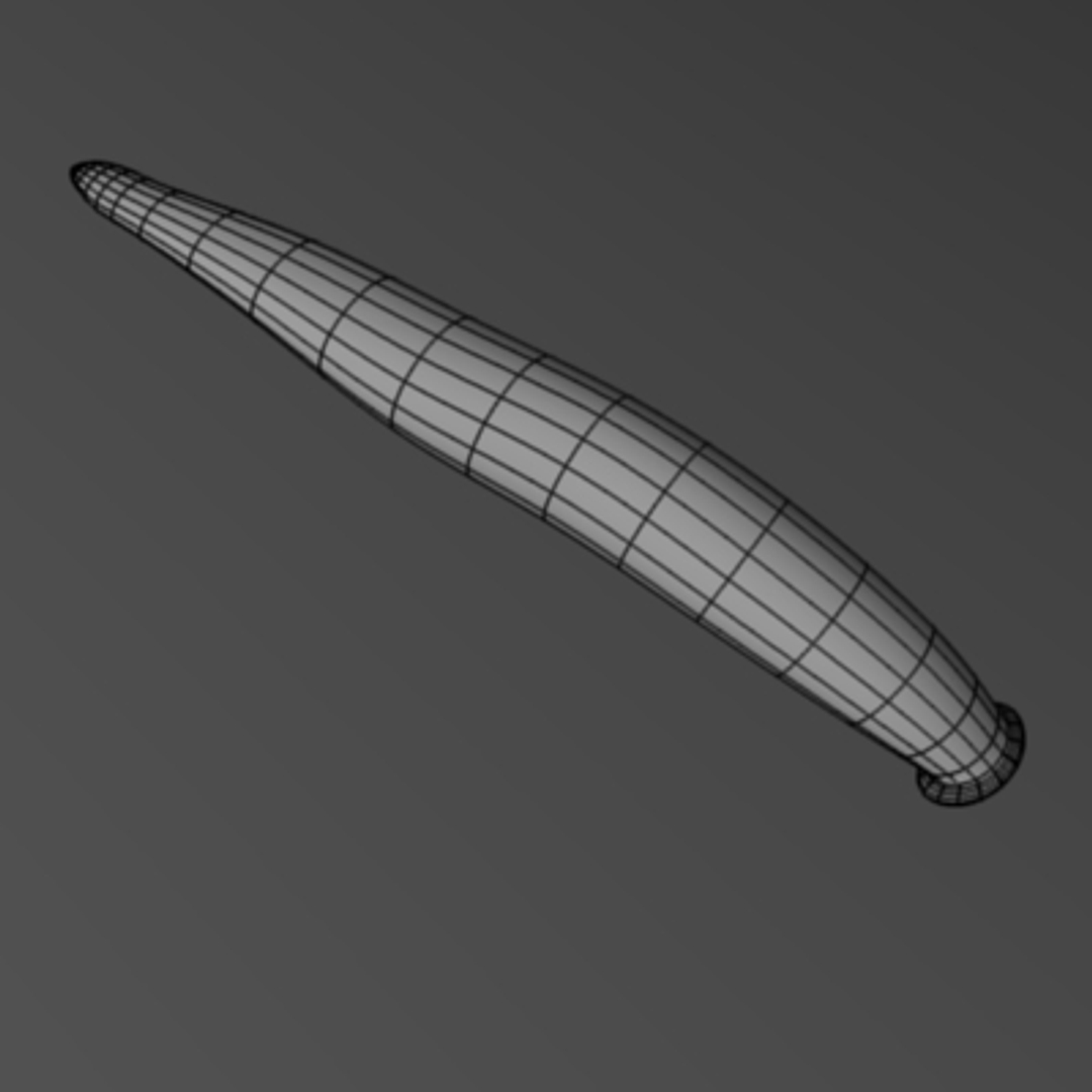 3d model giant leech