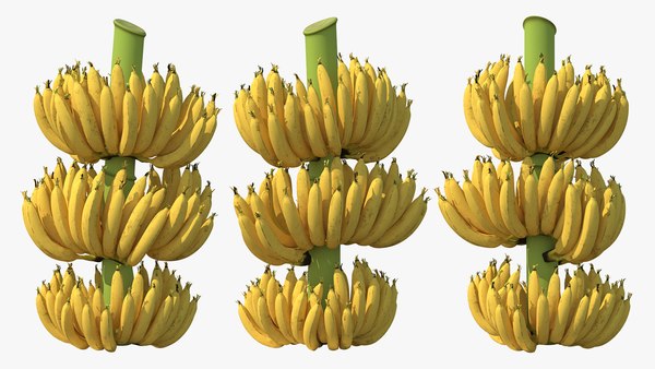 Bananas Collection 3 model - TurboSquid 1824216
