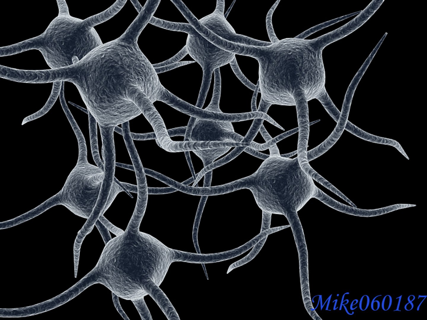 Max Nano Cell Nanocel