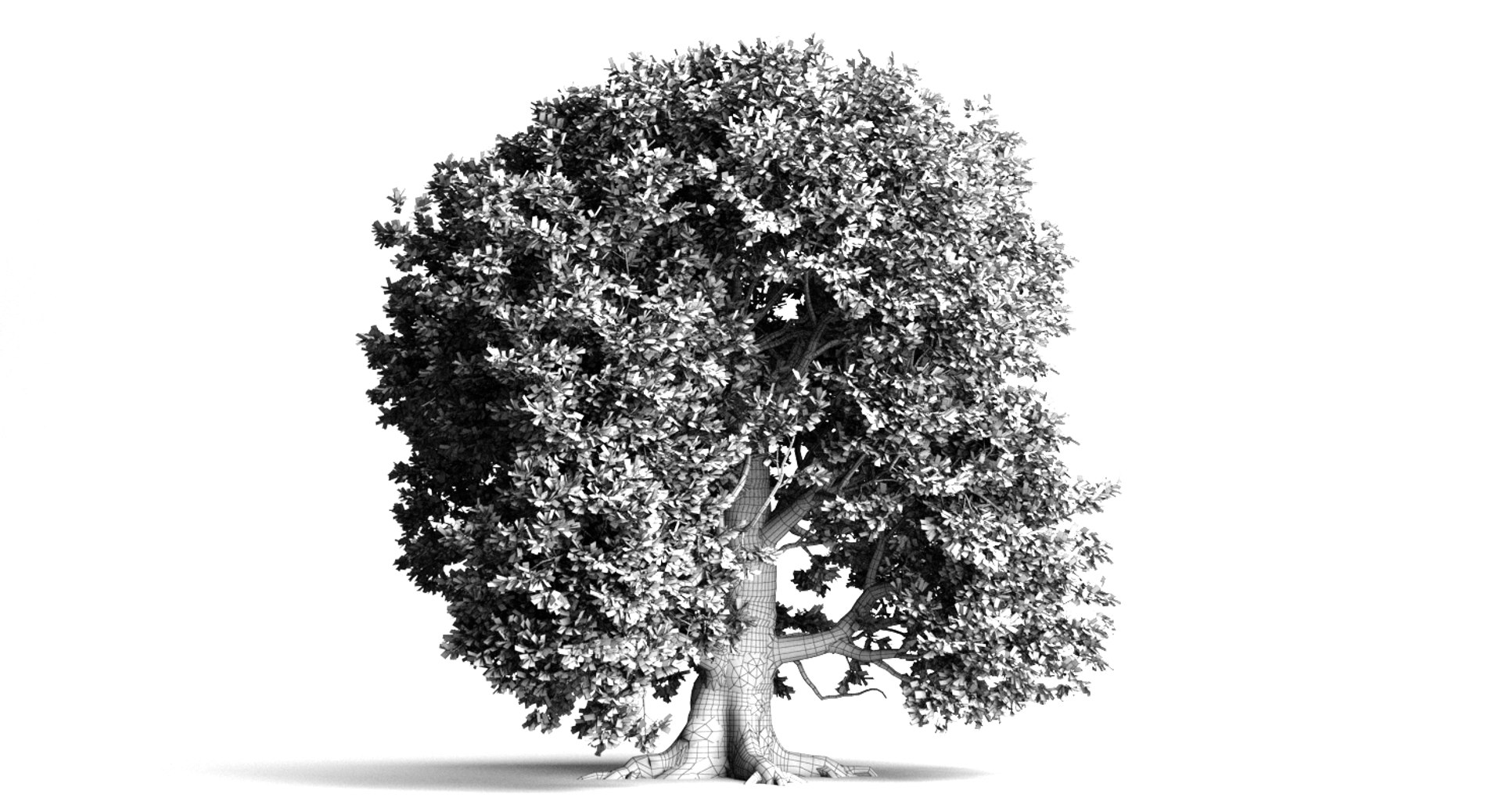 3D Model Oak Tree - TurboSquid 1426536