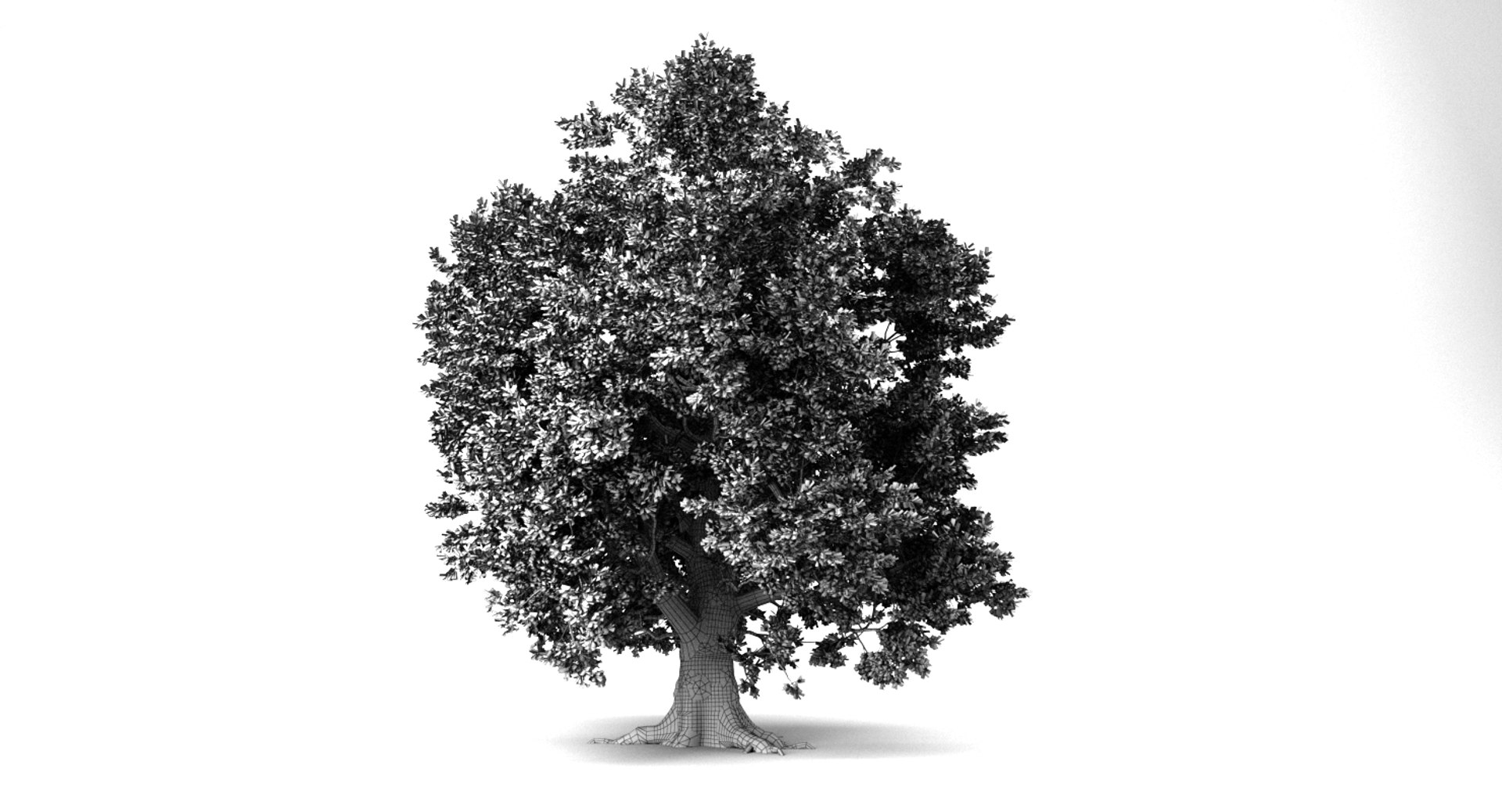 3D Model Oak Tree - TurboSquid 1426536