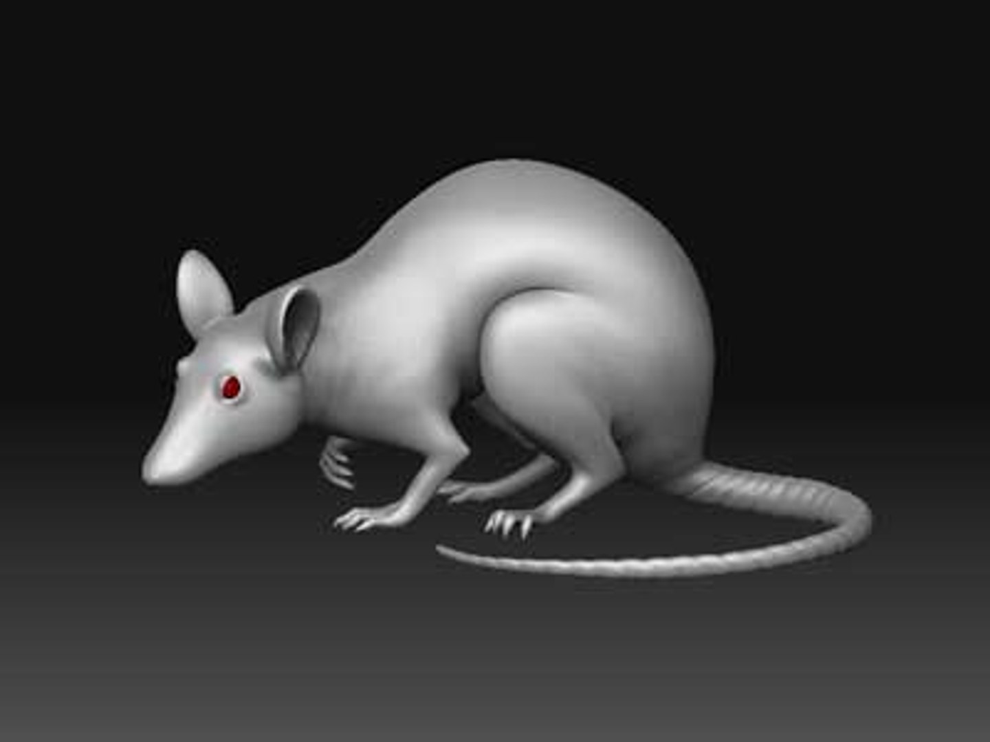 3d Lab Rat