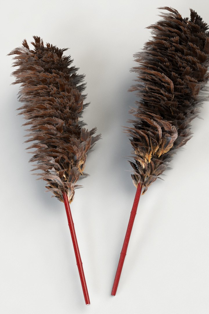 3D Taiwan Feather Duster - TurboSquid 1387223