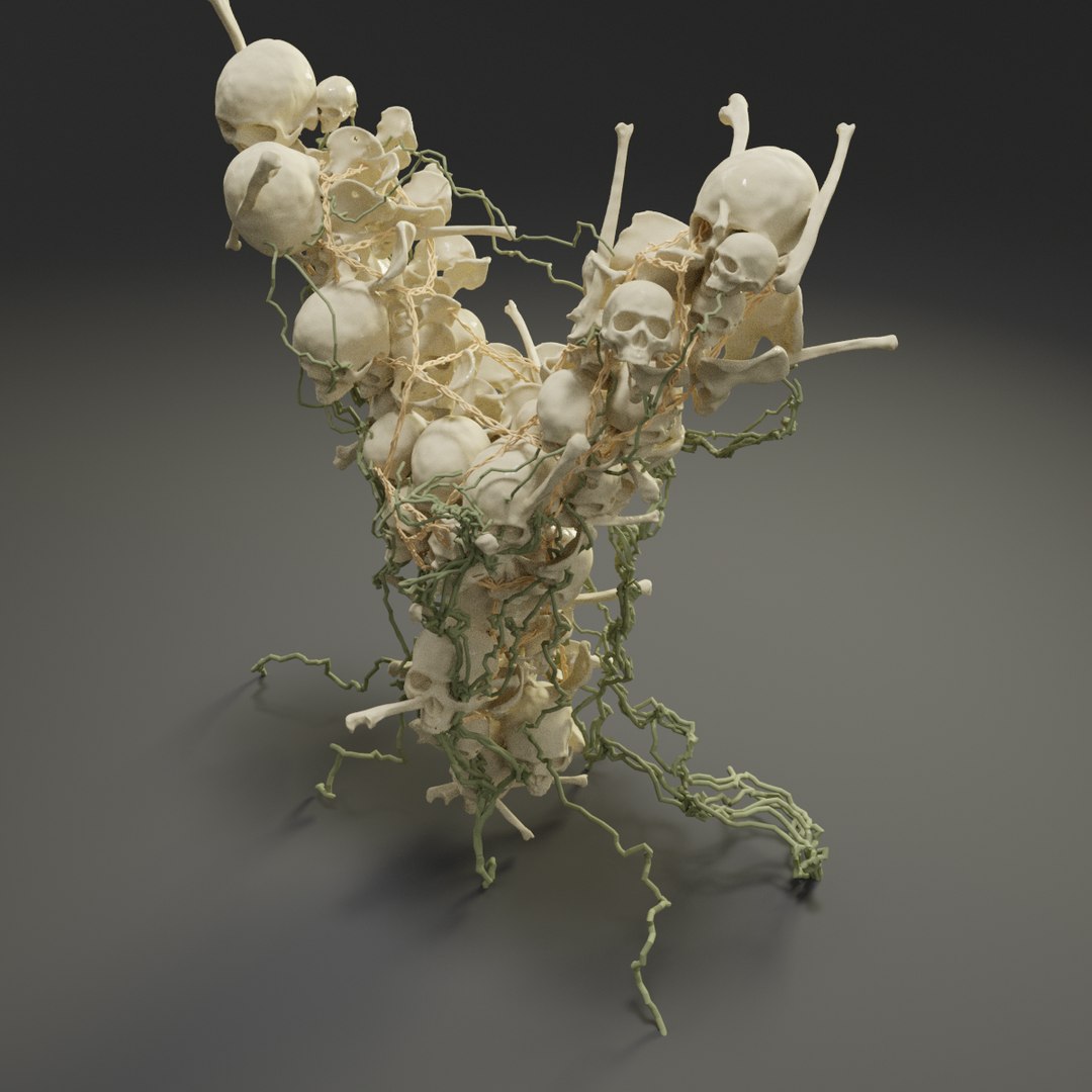 3D Letter Y Bones Skeleton - TurboSquid 1546374