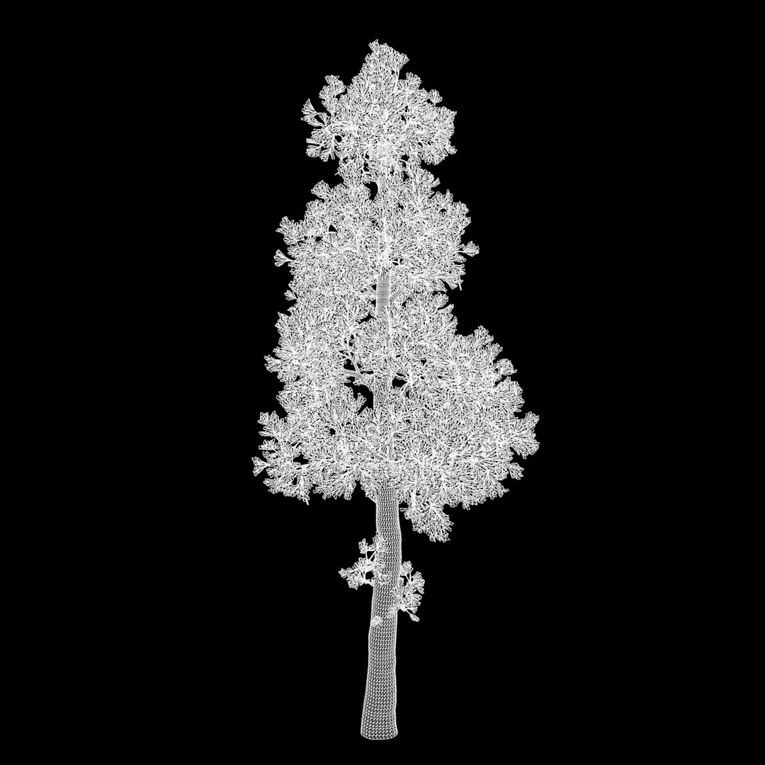 3D Pine Tree Model - TurboSquid 1379410