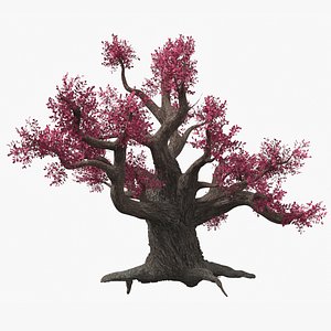 3D Cherry Blossom Models - Browse & Download Formats - TurboSquid