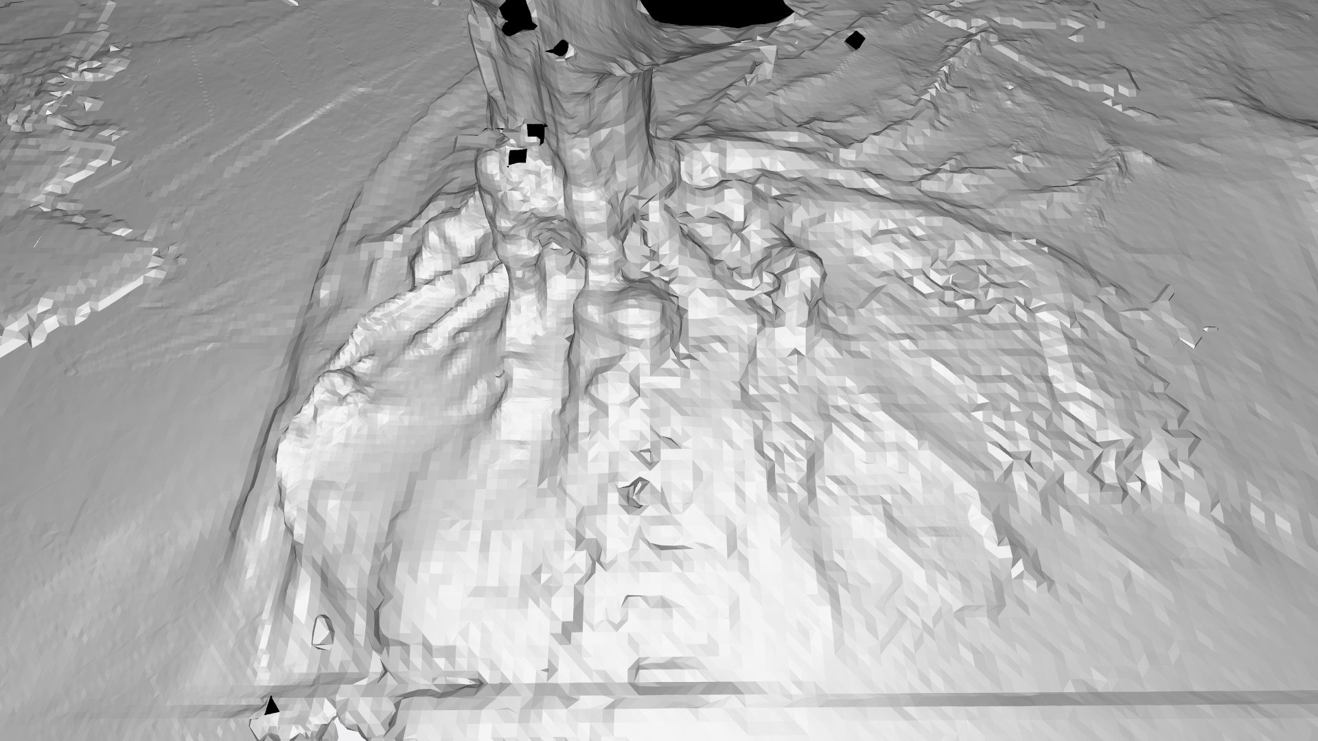 3D Model Jaguey Tree Roots - TurboSquid 1968059