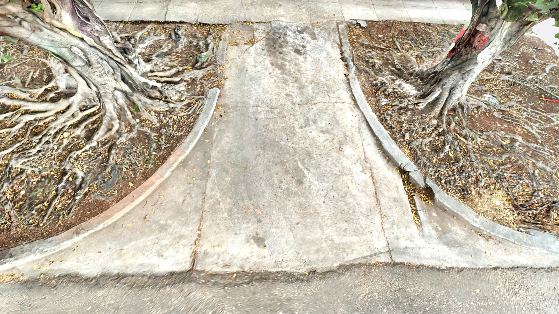 3D Model Jaguey Tree Roots - TurboSquid 1968059