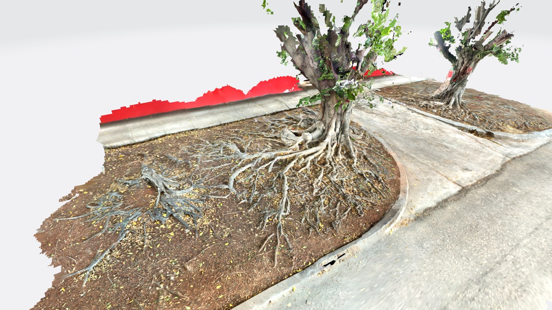 3D Model Jaguey Tree Roots - TurboSquid 1968059