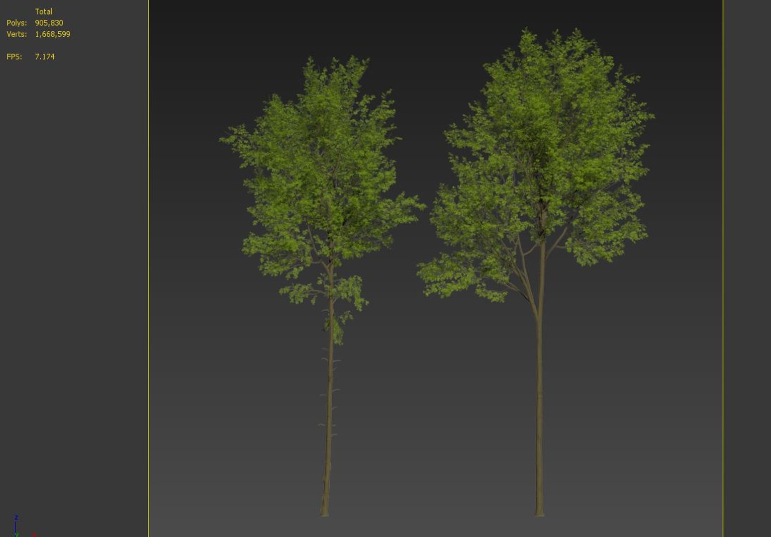 European Beech 3D - TurboSquid 1943963