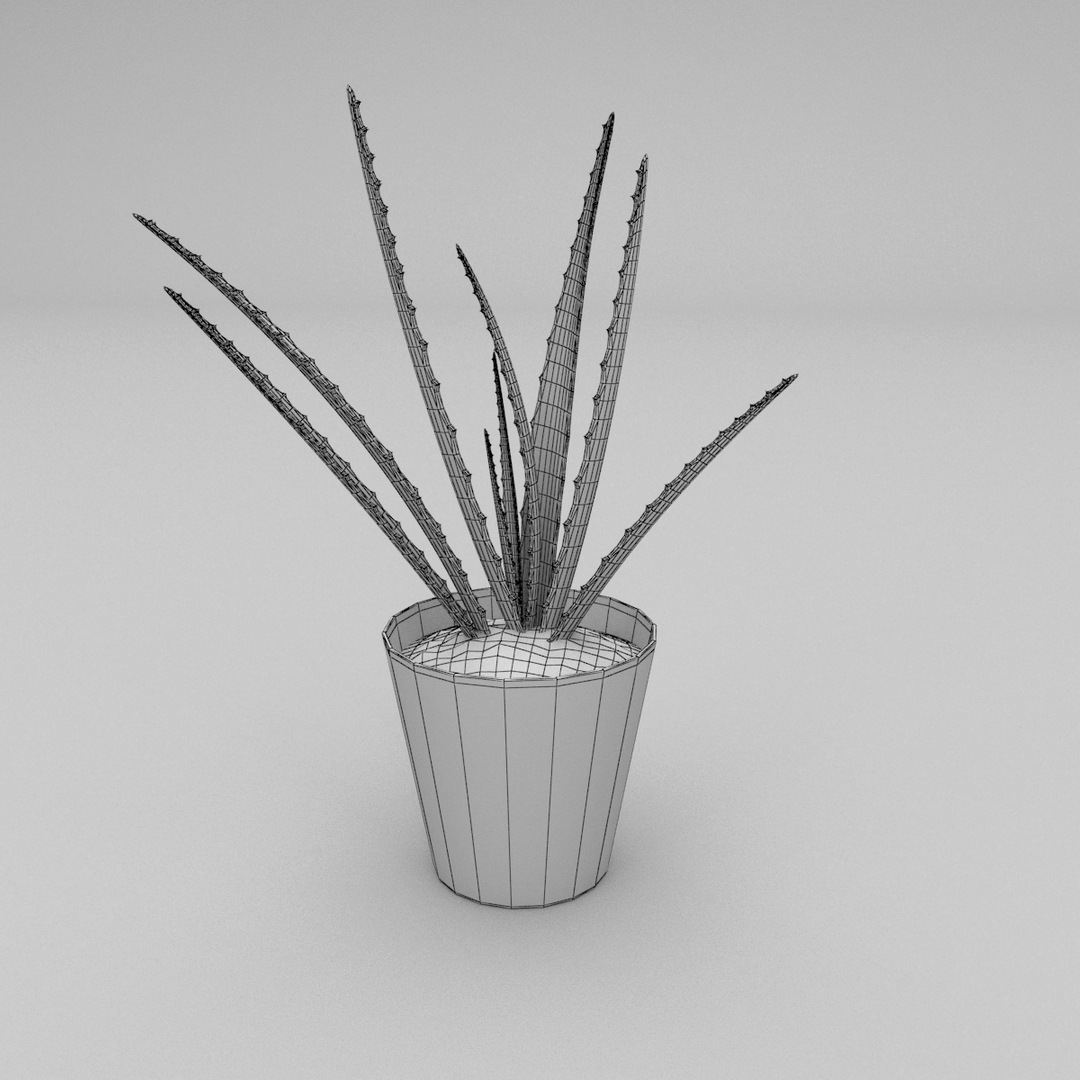 3d Plant Home Aloe Model